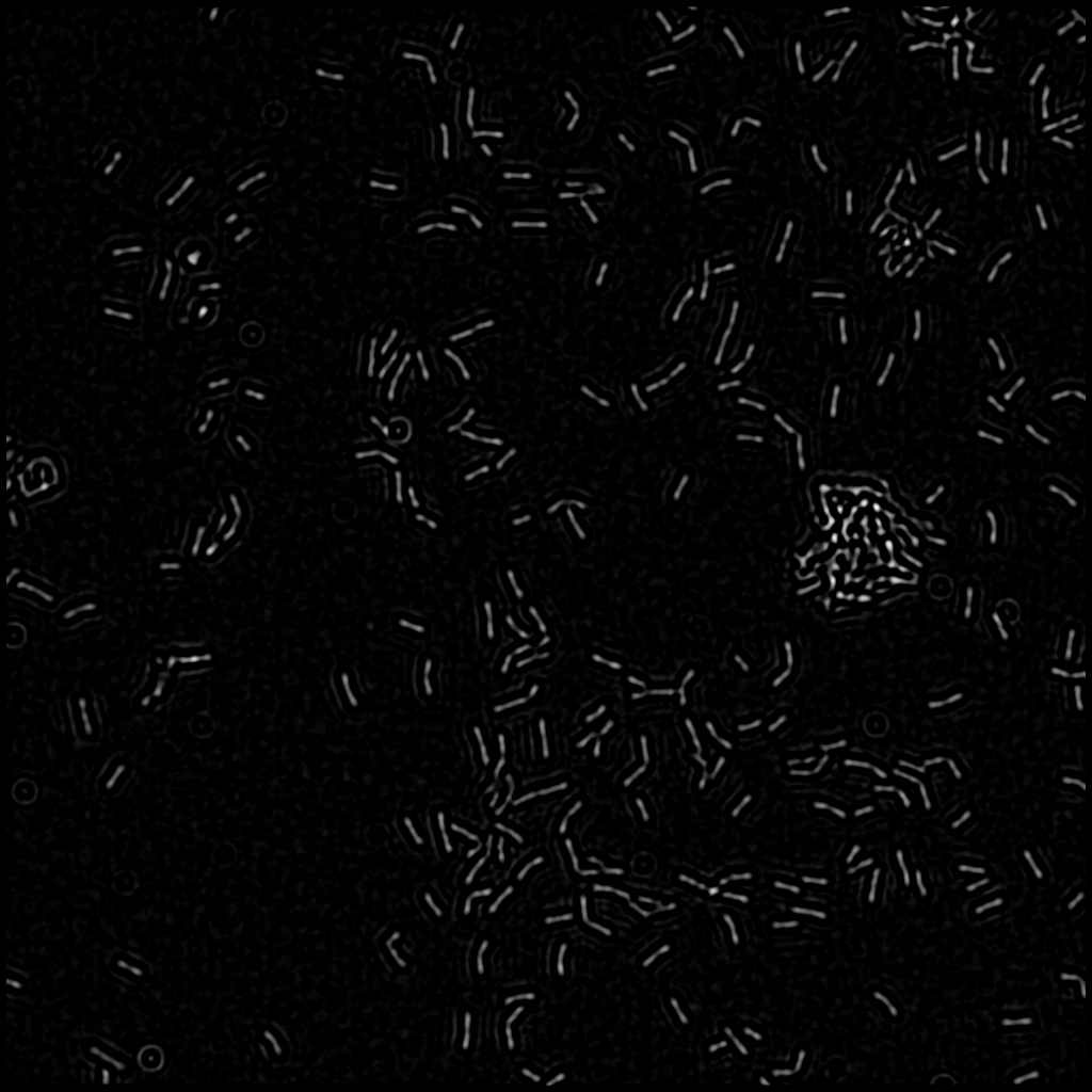 Learning the complete dynamical phase diagram of bacterial swarming