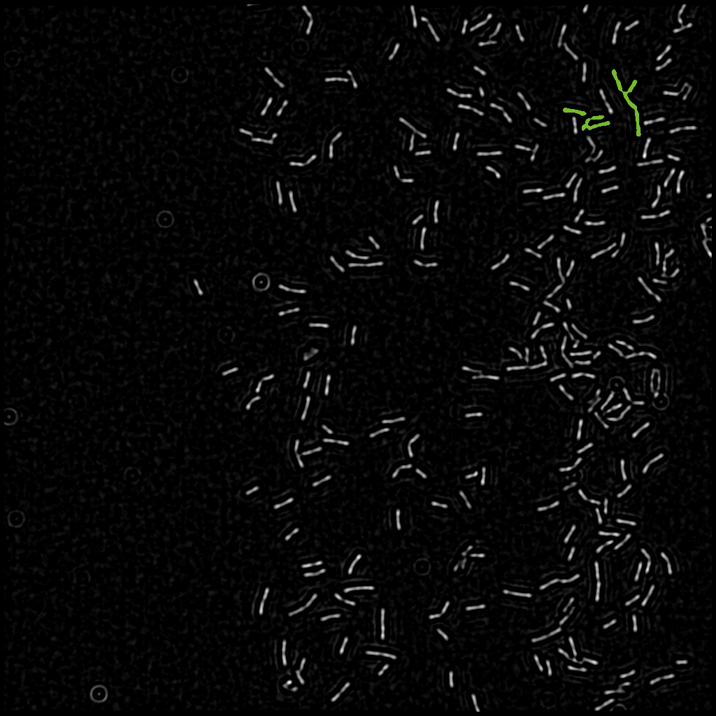 Learning the complete dynamical phase diagram of bacterial swarming