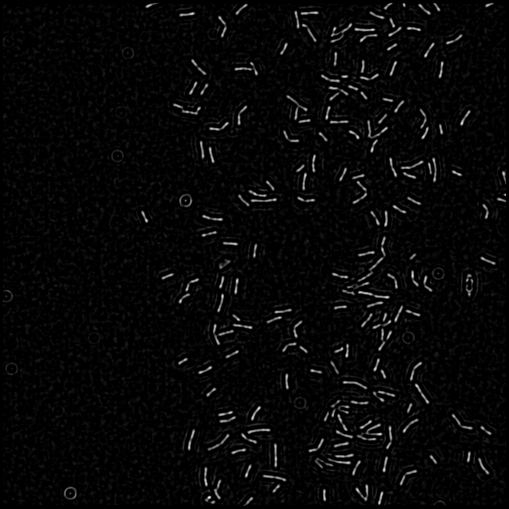 Learning the complete dynamical phase diagram of bacterial swarming