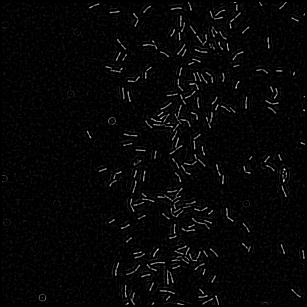 Learning the complete dynamical phase diagram of bacterial swarming