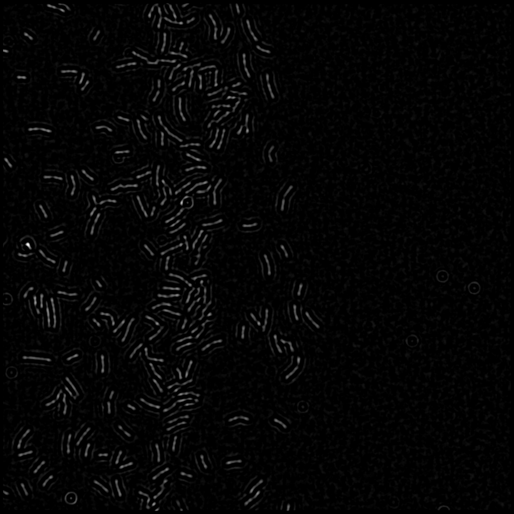 Learning the complete dynamical phase diagram of bacterial swarming
