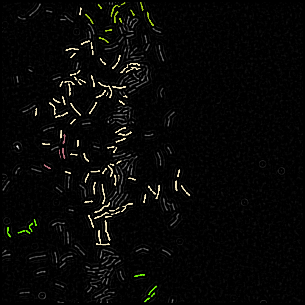 Learning the complete dynamical phase diagram of bacterial swarming