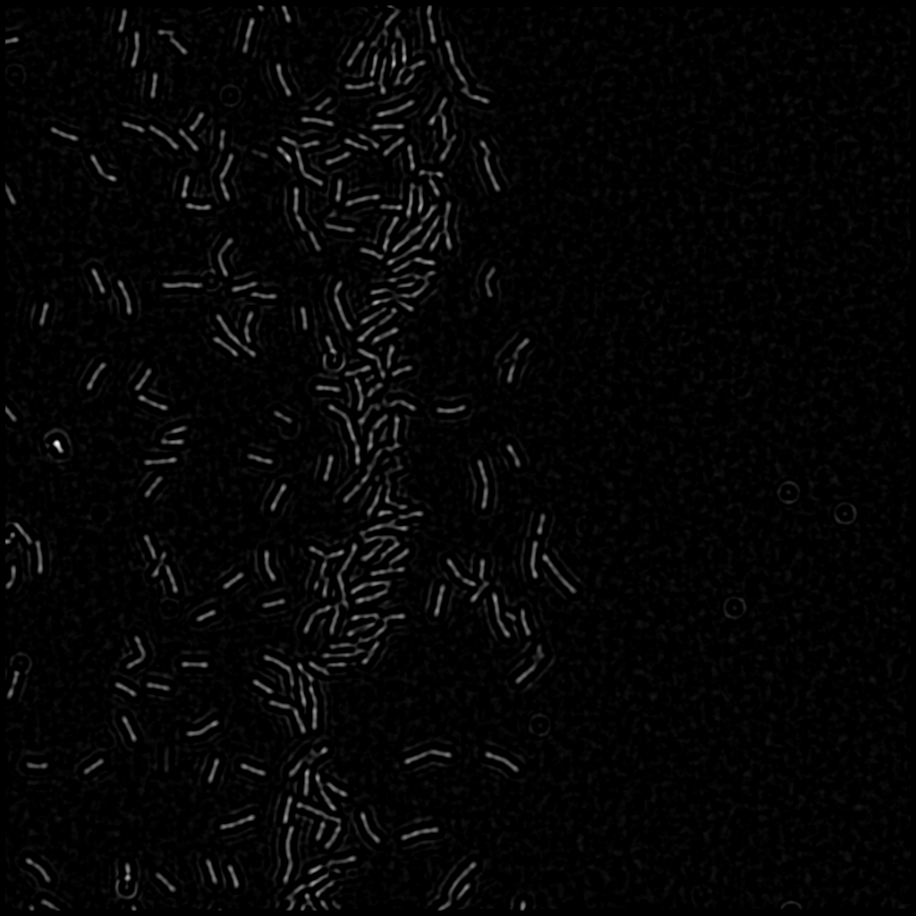 Learning the complete dynamical phase diagram of bacterial swarming