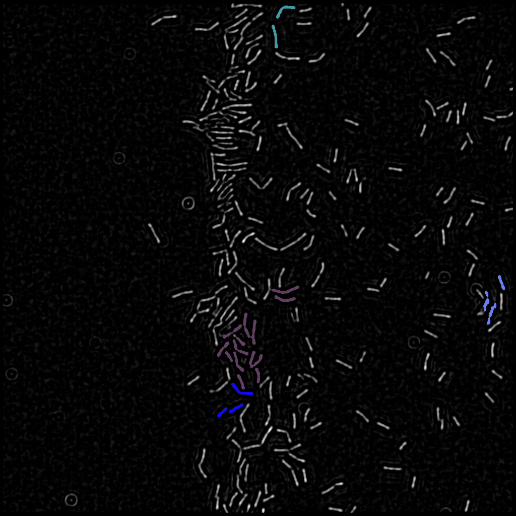 Learning the complete dynamical phase diagram of bacterial swarming