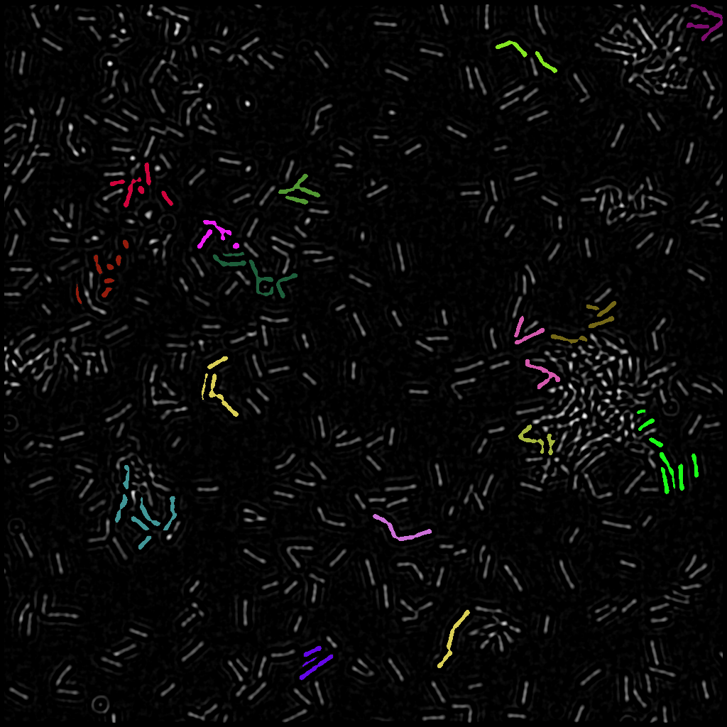 Learning the complete dynamical phase diagram of bacterial swarming