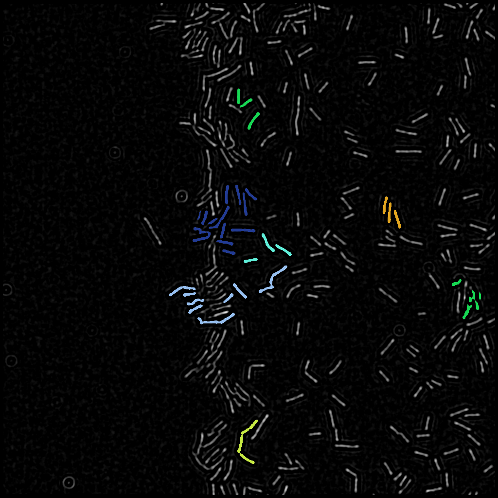 Learning the complete dynamical phase diagram of bacterial swarming