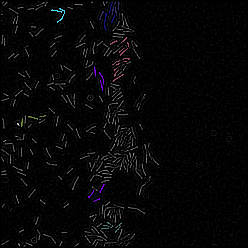 Learning the complete dynamical phase diagram of bacterial swarming