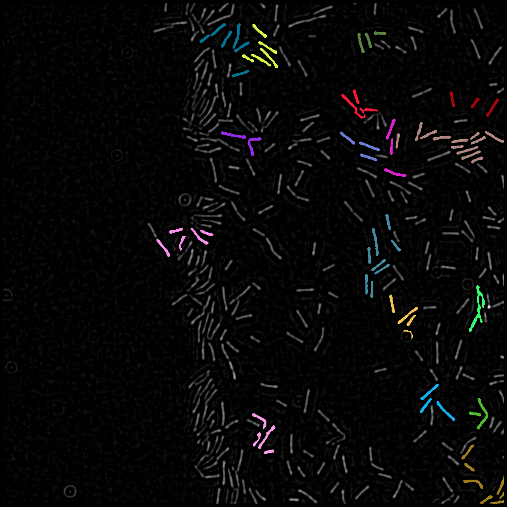 Learning the complete dynamical phase diagram of bacterial swarming