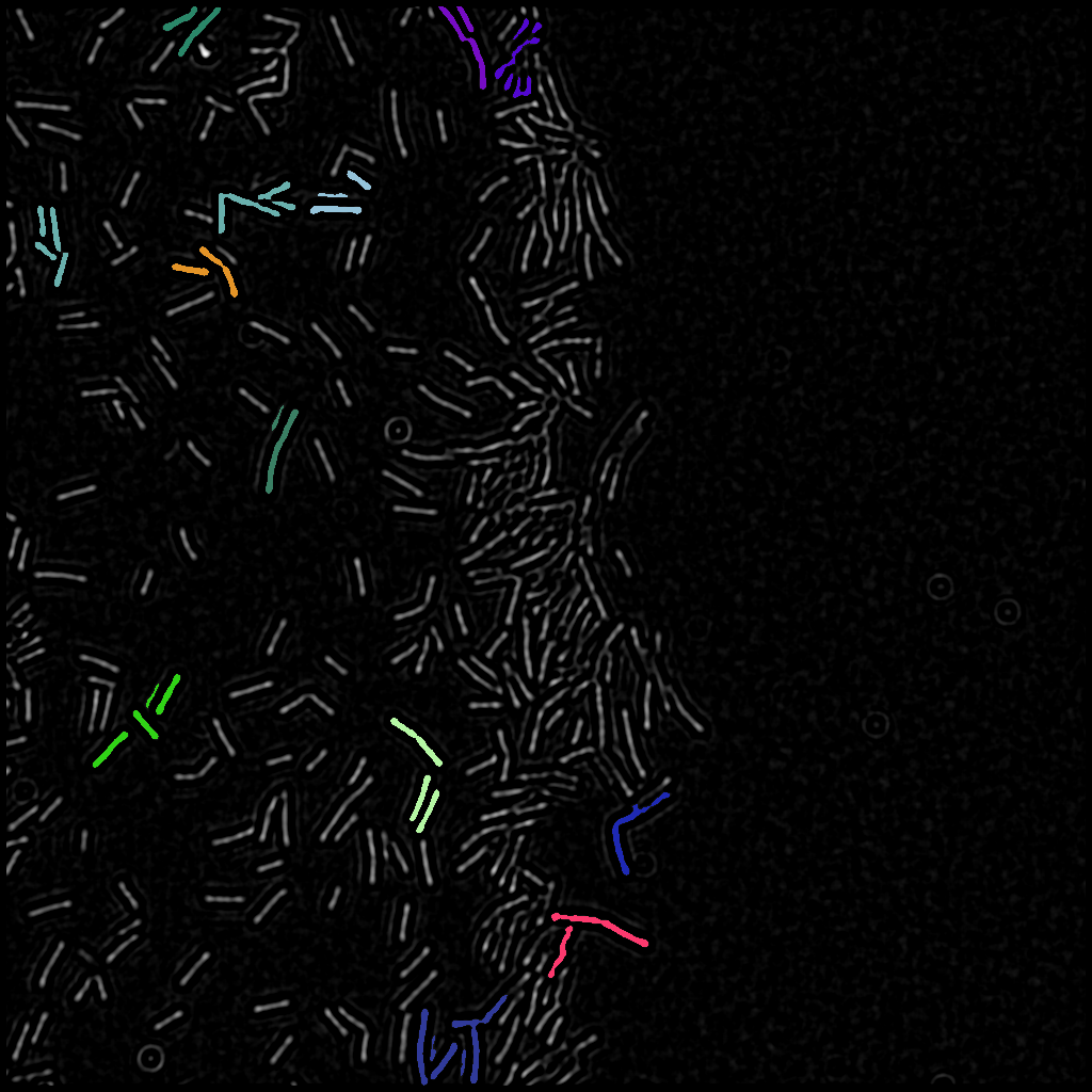 Learning the complete dynamical phase diagram of bacterial swarming