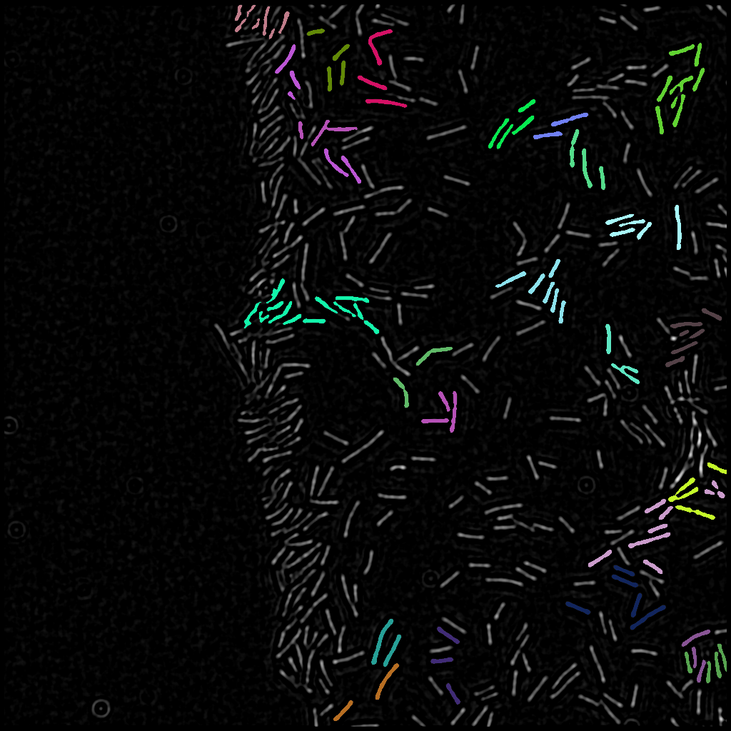 Learning the complete dynamical phase diagram of bacterial swarming
