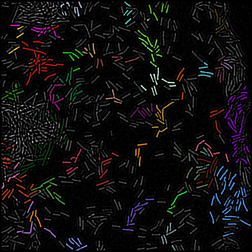 Learning the complete dynamical phase diagram of bacterial swarming