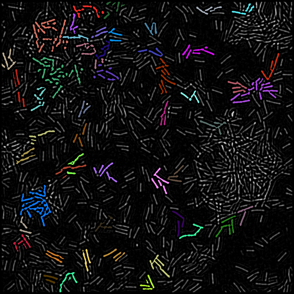 Learning the complete dynamical phase diagram of bacterial swarming