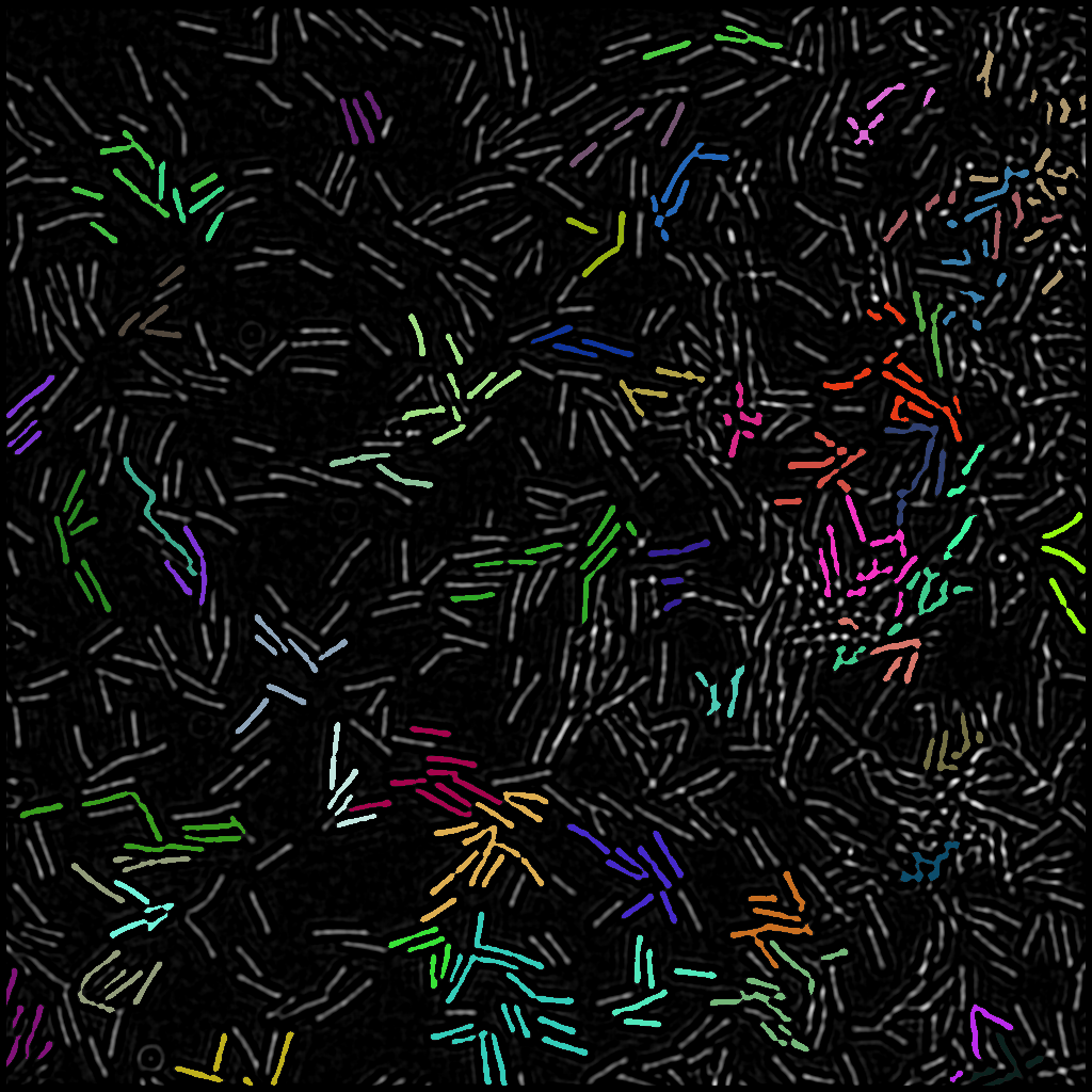 Learning the complete dynamical phase diagram of bacterial swarming
