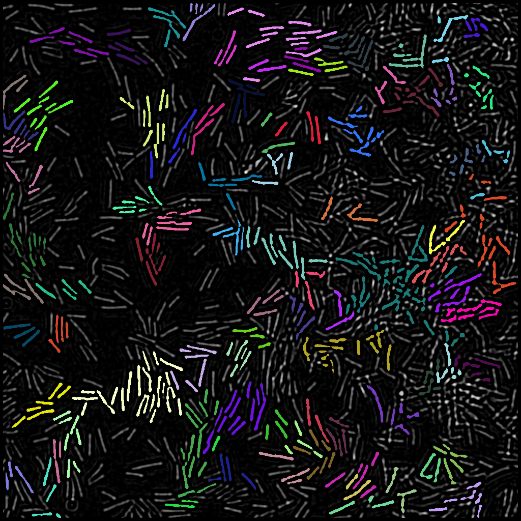 Learning the complete dynamical phase diagram of bacterial swarming