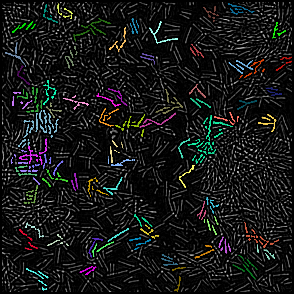 Learning the complete dynamical phase diagram of bacterial swarming