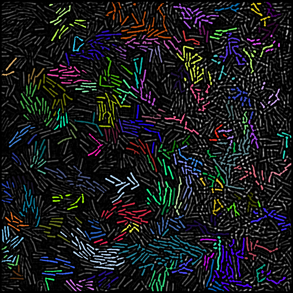 Learning the complete dynamical phase diagram of bacterial swarming