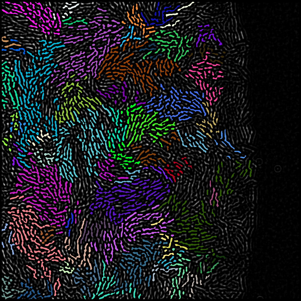Learning the complete dynamical phase diagram of bacterial swarming