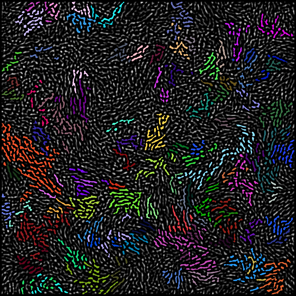 Learning the complete dynamical phase diagram of bacterial swarming