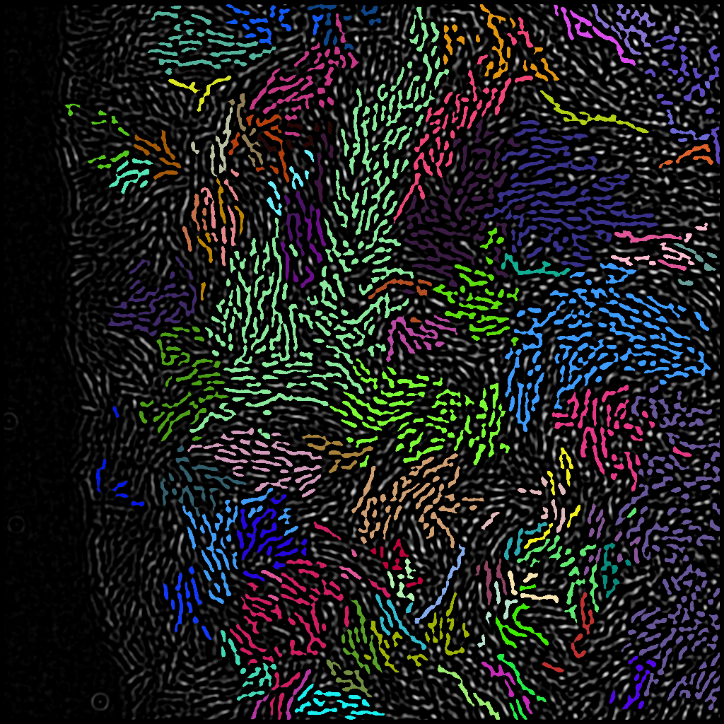 Learning the complete dynamical phase diagram of bacterial swarming