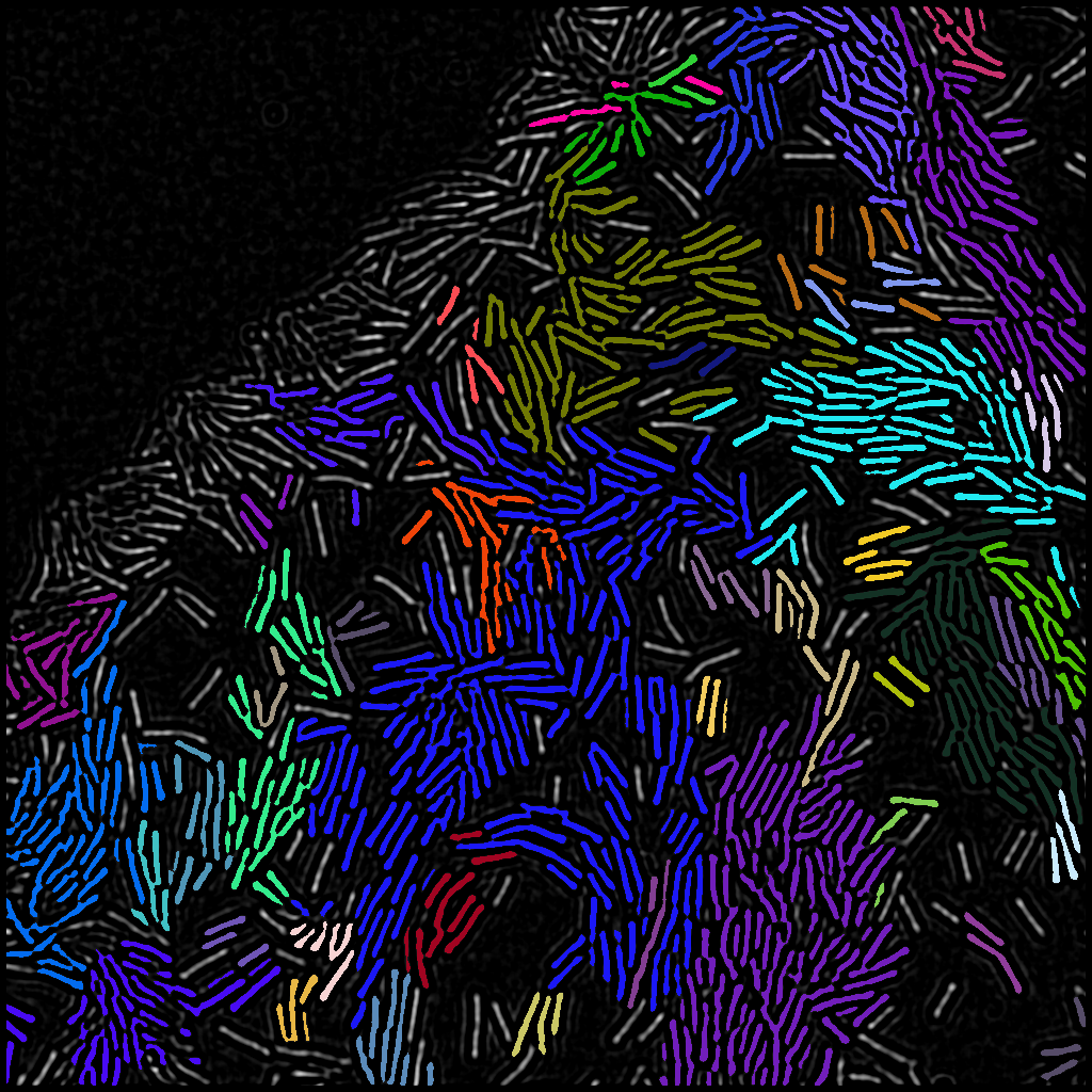 Learning the complete dynamical phase diagram of bacterial swarming