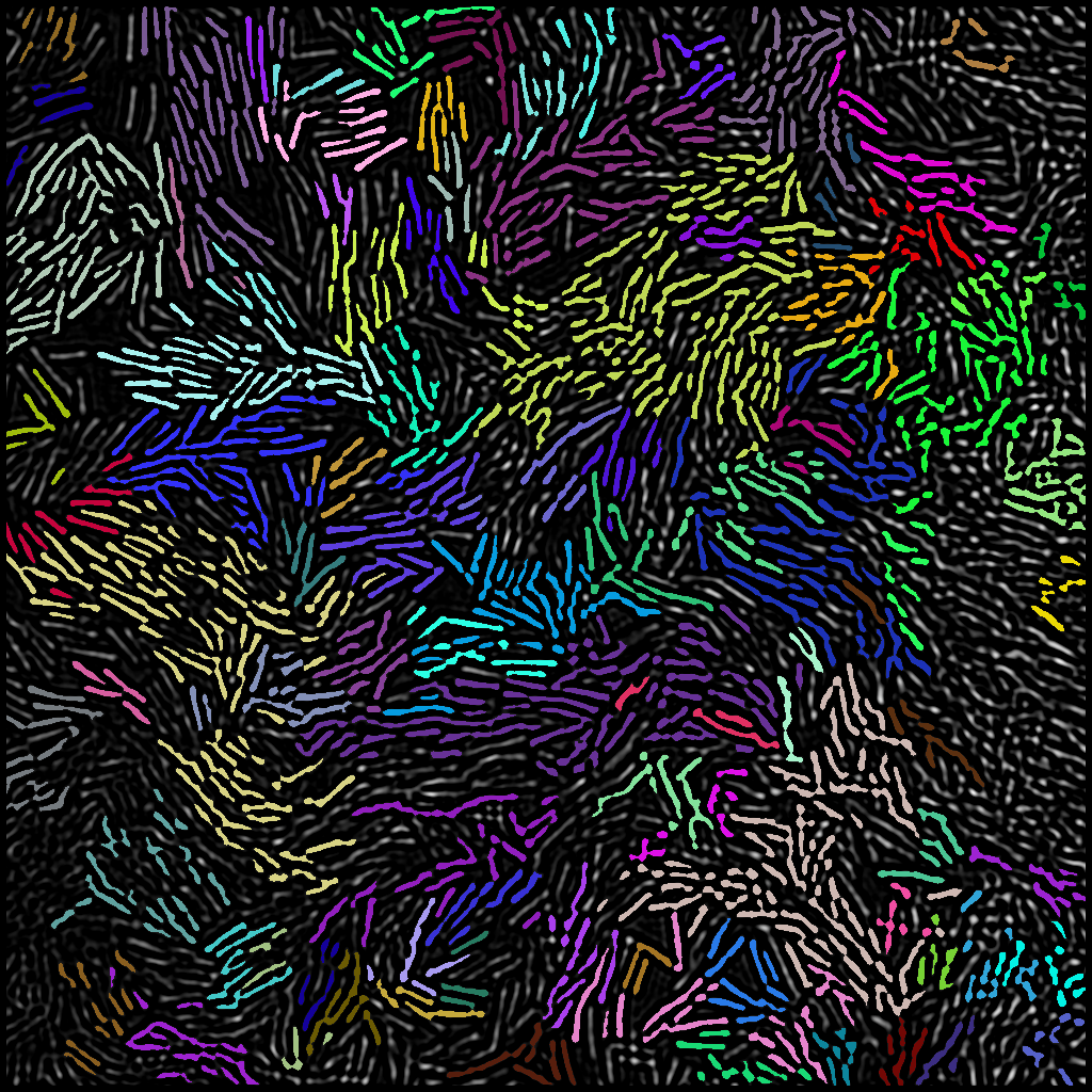 Learning the complete dynamical phase diagram of bacterial swarming