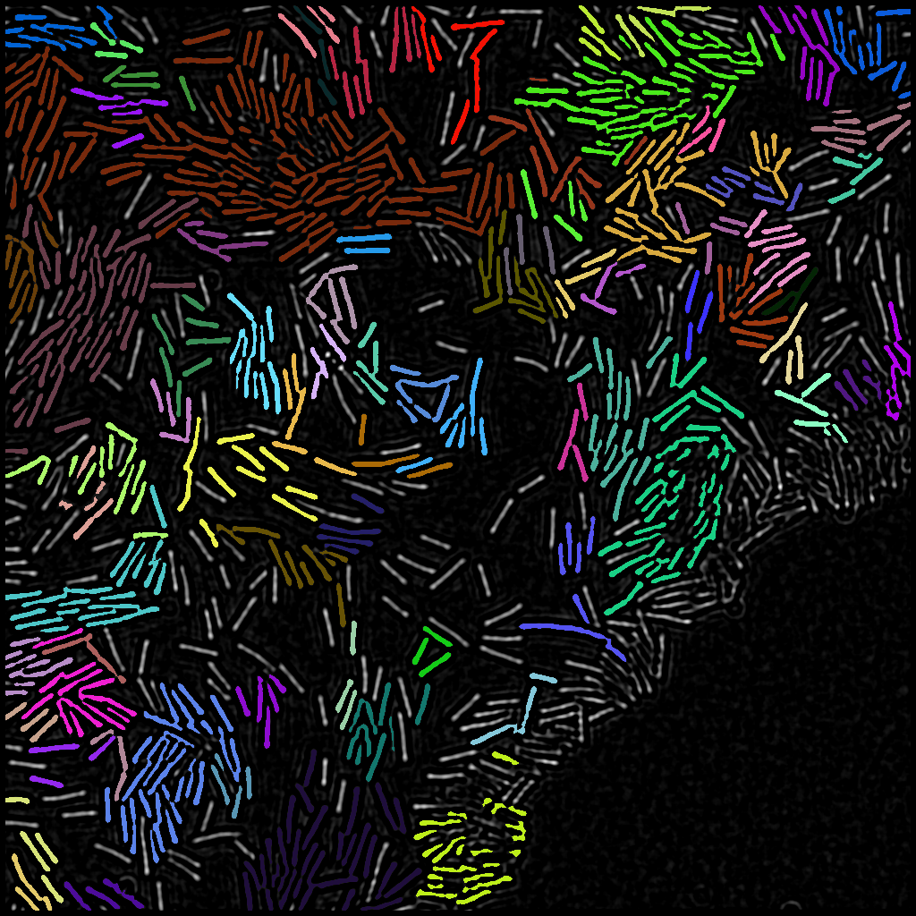 Learning the complete dynamical phase diagram of bacterial swarming