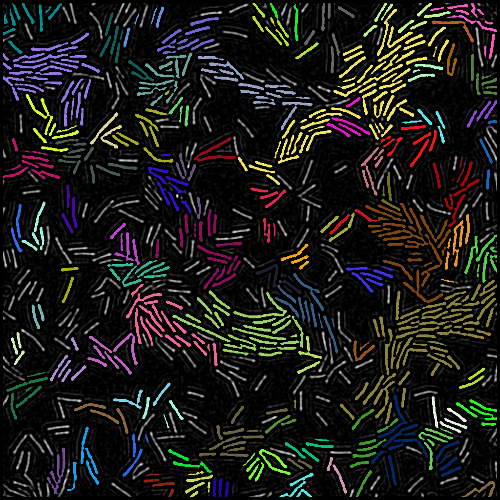 Learning the complete dynamical phase diagram of bacterial swarming