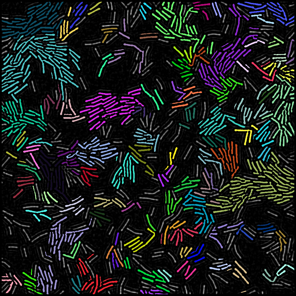 Learning the complete dynamical phase diagram of bacterial swarming