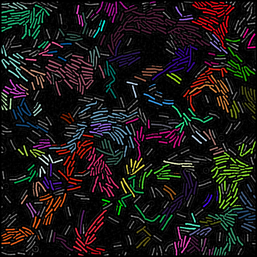 Learning the complete dynamical phase diagram of bacterial swarming