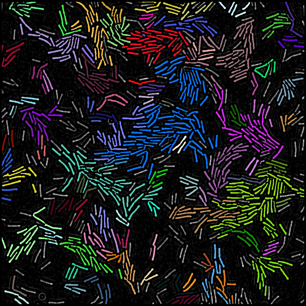 Learning the complete dynamical phase diagram of bacterial swarming