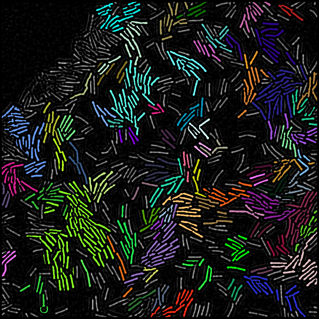 Learning the complete dynamical phase diagram of bacterial swarming