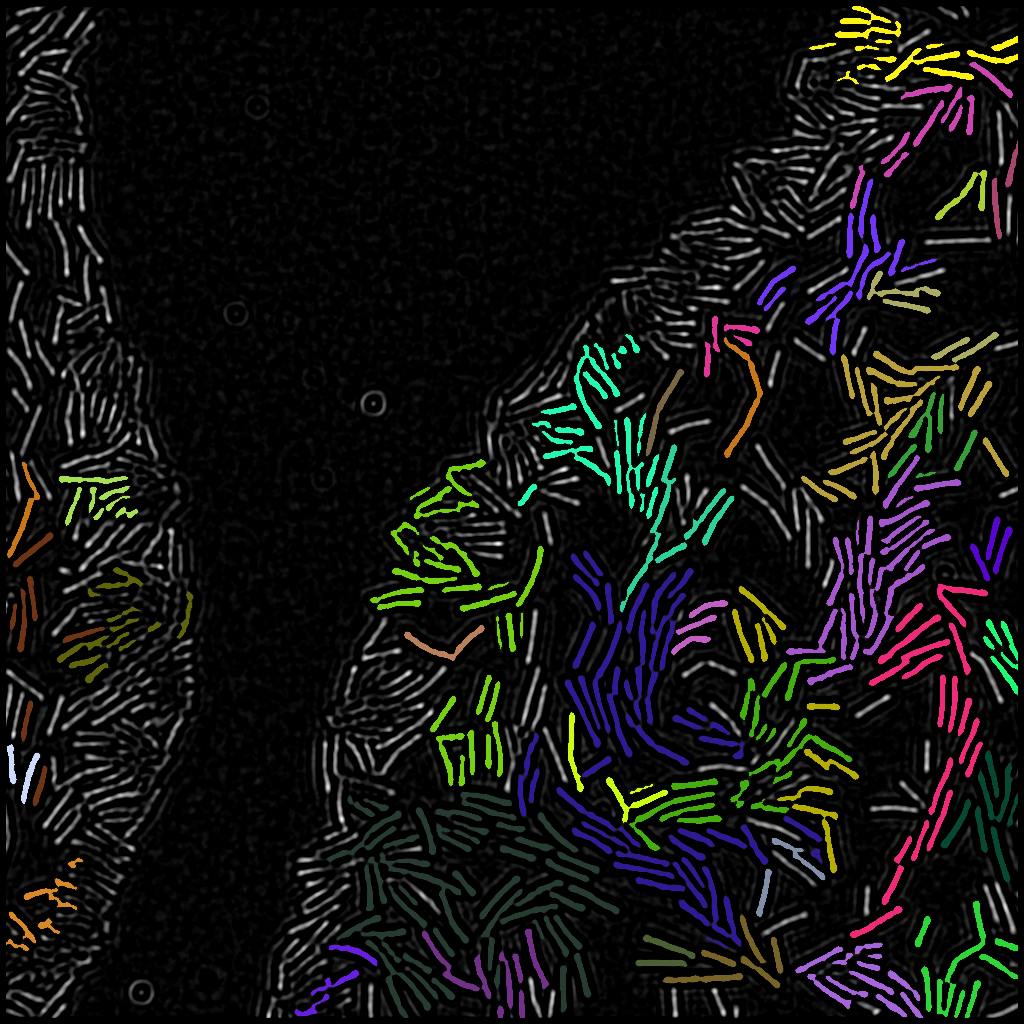 Learning the complete dynamical phase diagram of bacterial swarming