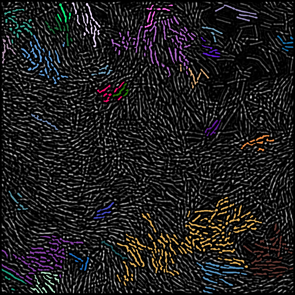 Learning the complete dynamical phase diagram of bacterial swarming