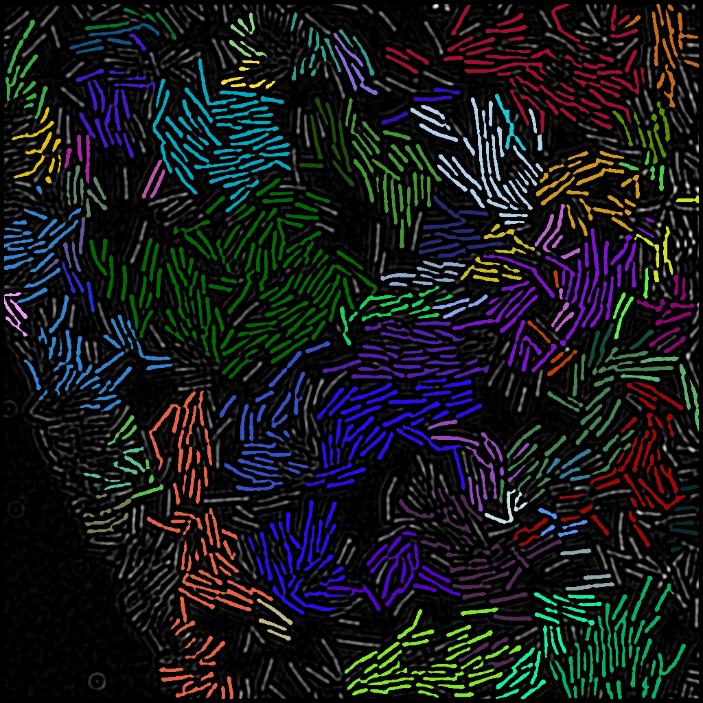 Learning the complete dynamical phase diagram of bacterial swarming