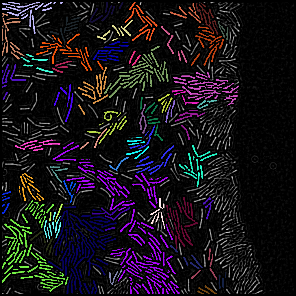 Learning the complete dynamical phase diagram of bacterial swarming