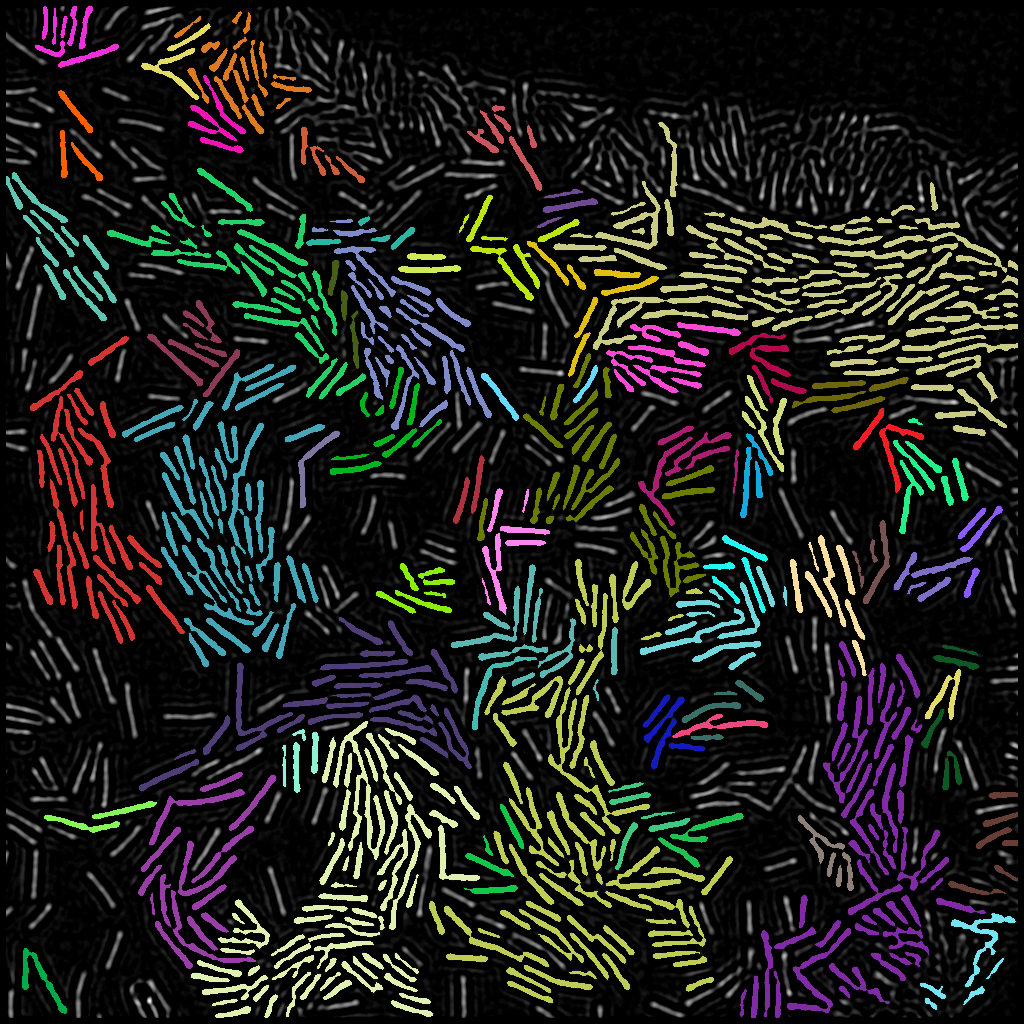 Learning the complete dynamical phase diagram of bacterial swarming