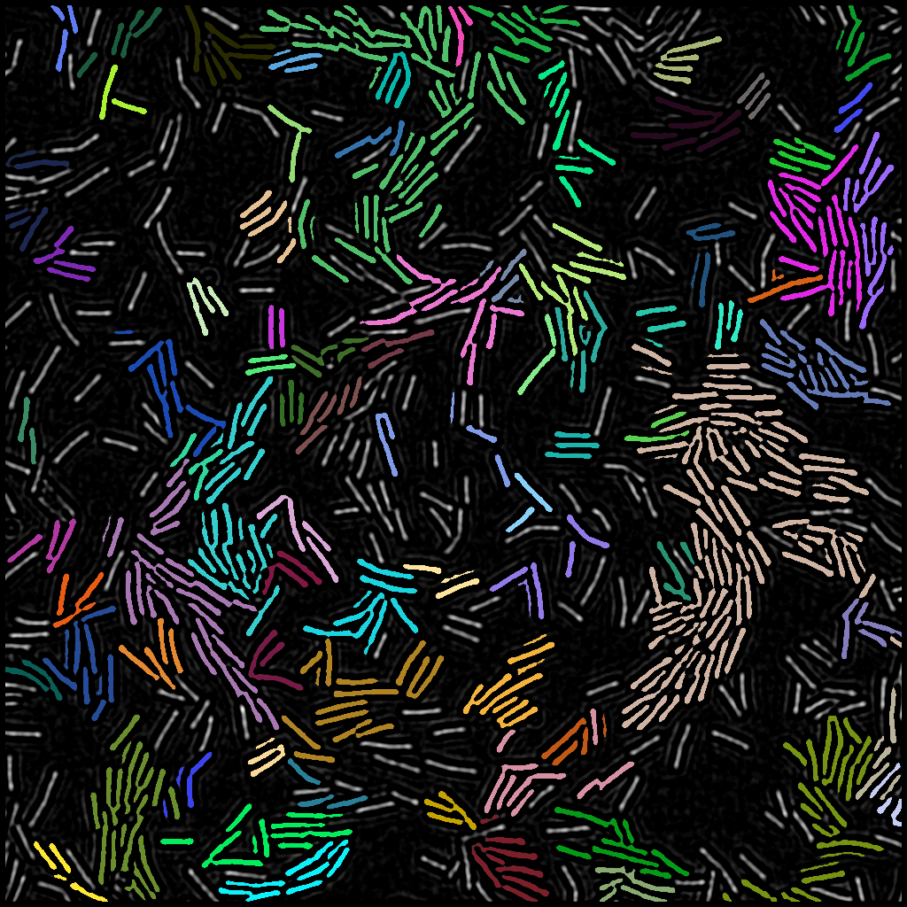 Learning the complete dynamical phase diagram of bacterial swarming