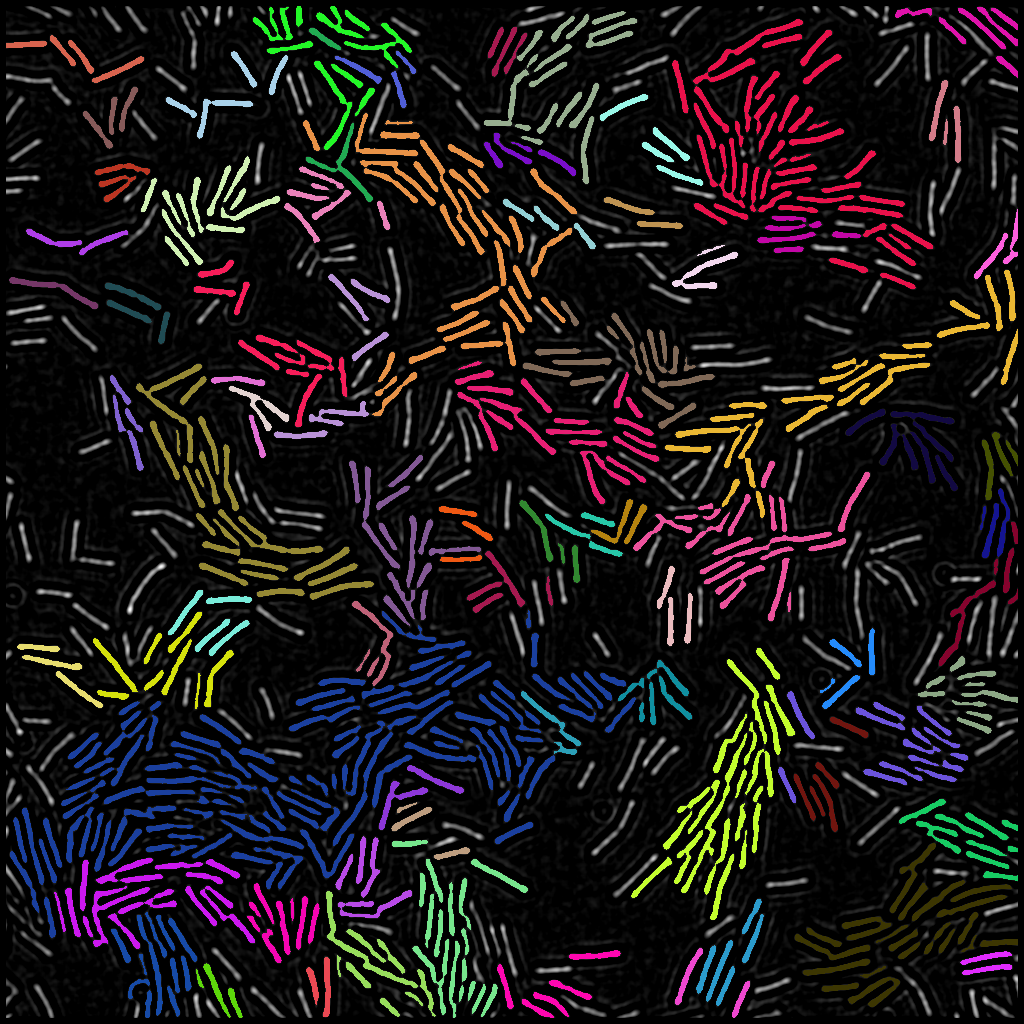 Learning the complete dynamical phase diagram of bacterial swarming