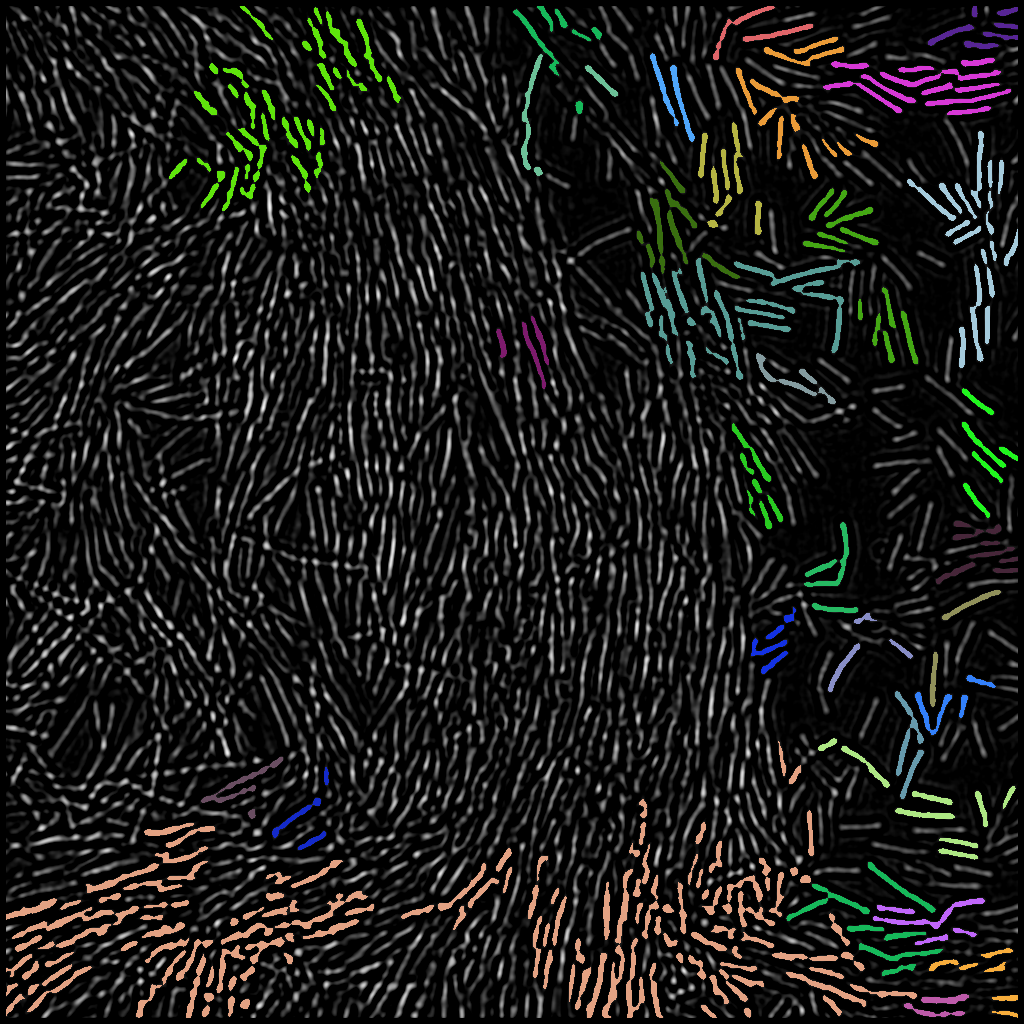 Learning the complete dynamical phase diagram of bacterial swarming