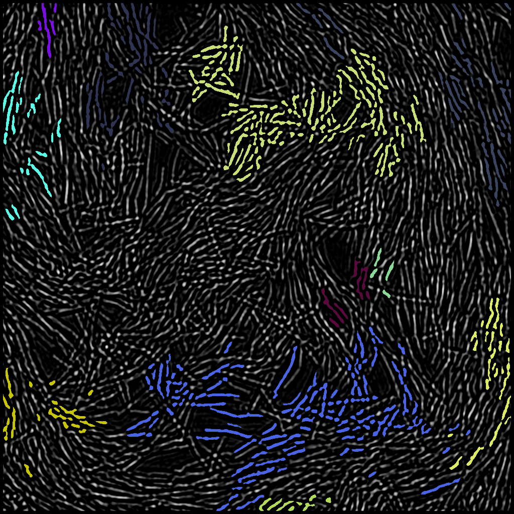 Learning The Complete Dynamical Phase Diagram Of Bacterial Swarming
