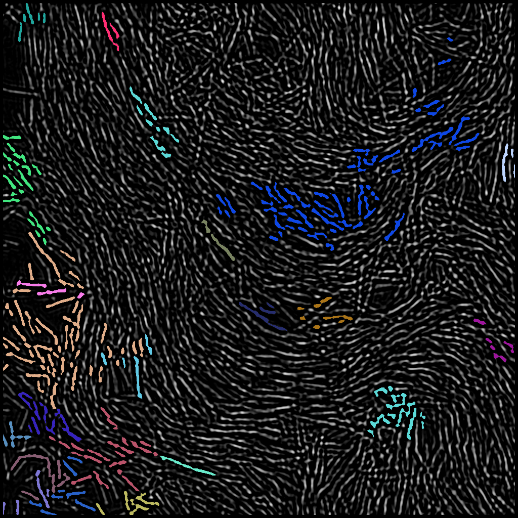 Learning the complete dynamical phase diagram of bacterial swarming