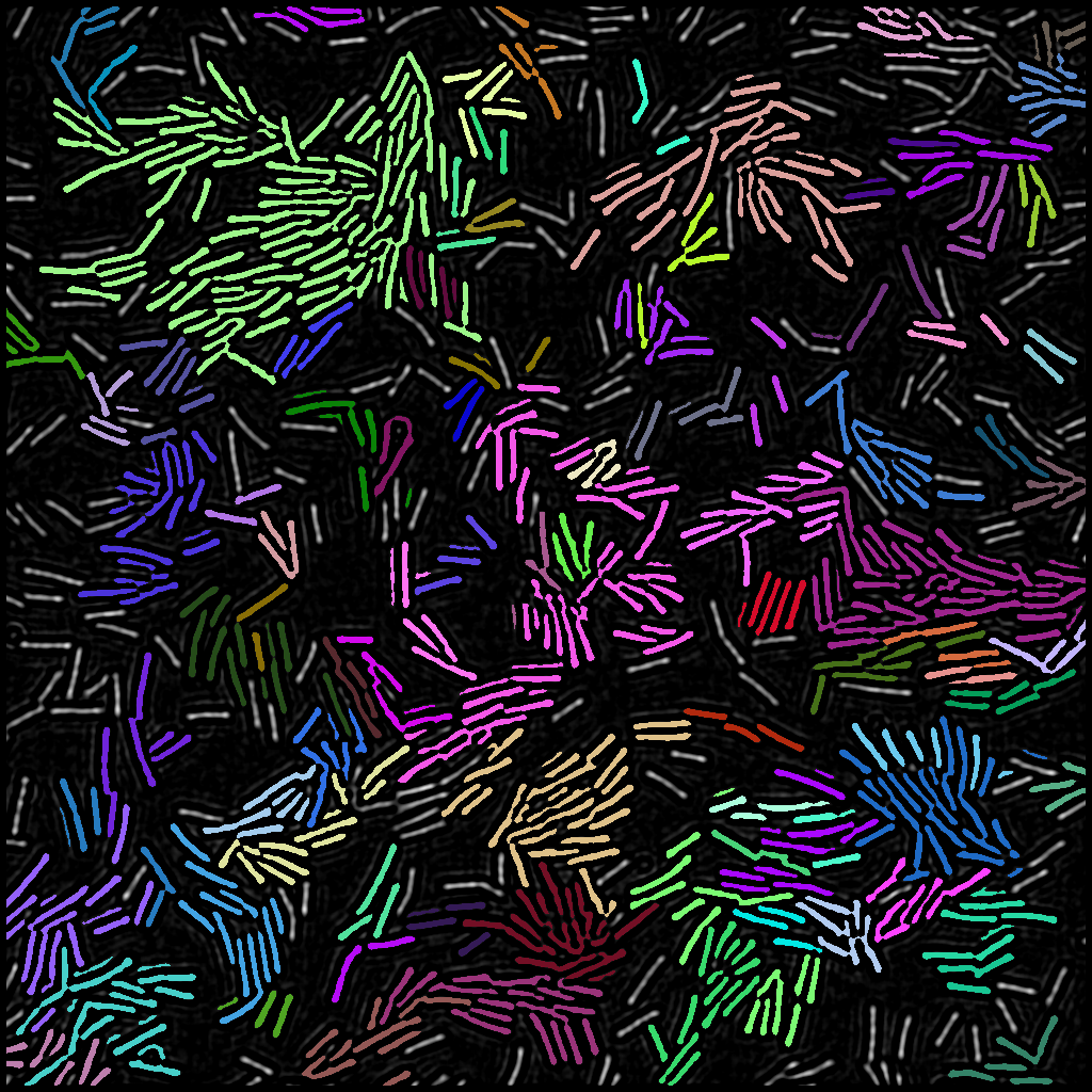 Learning the complete dynamical phase diagram of bacterial swarming