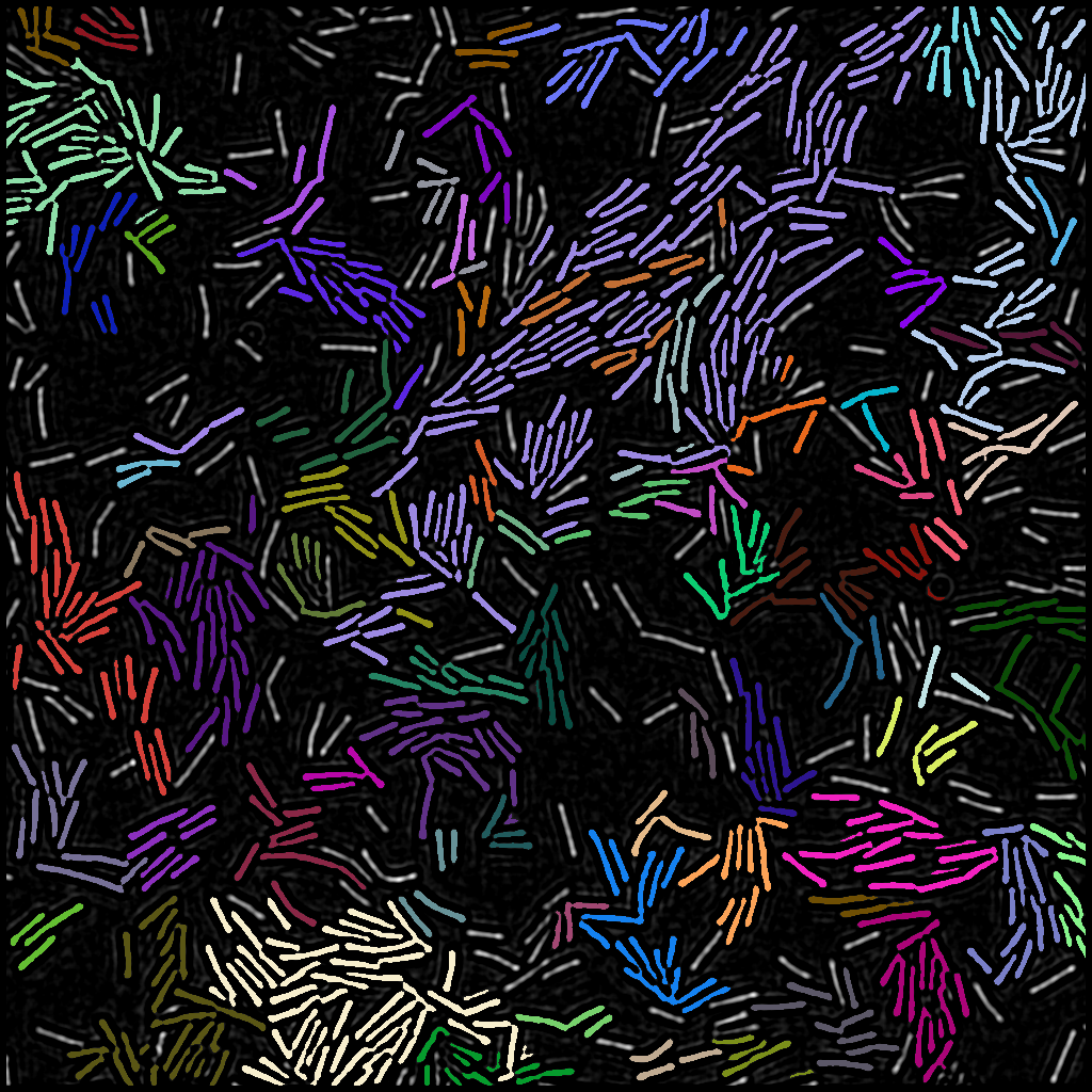 Learning the complete dynamical phase diagram of bacterial swarming
