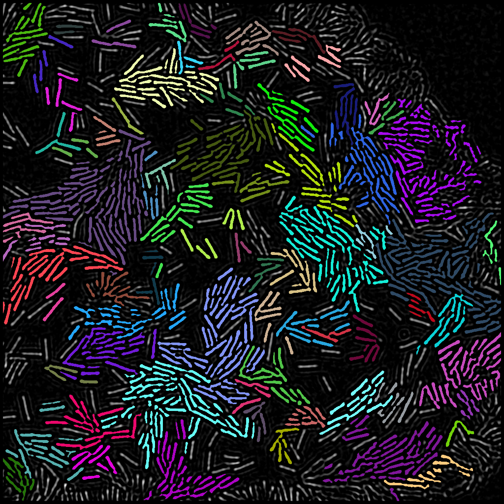 Learning the complete dynamical phase diagram of bacterial swarming