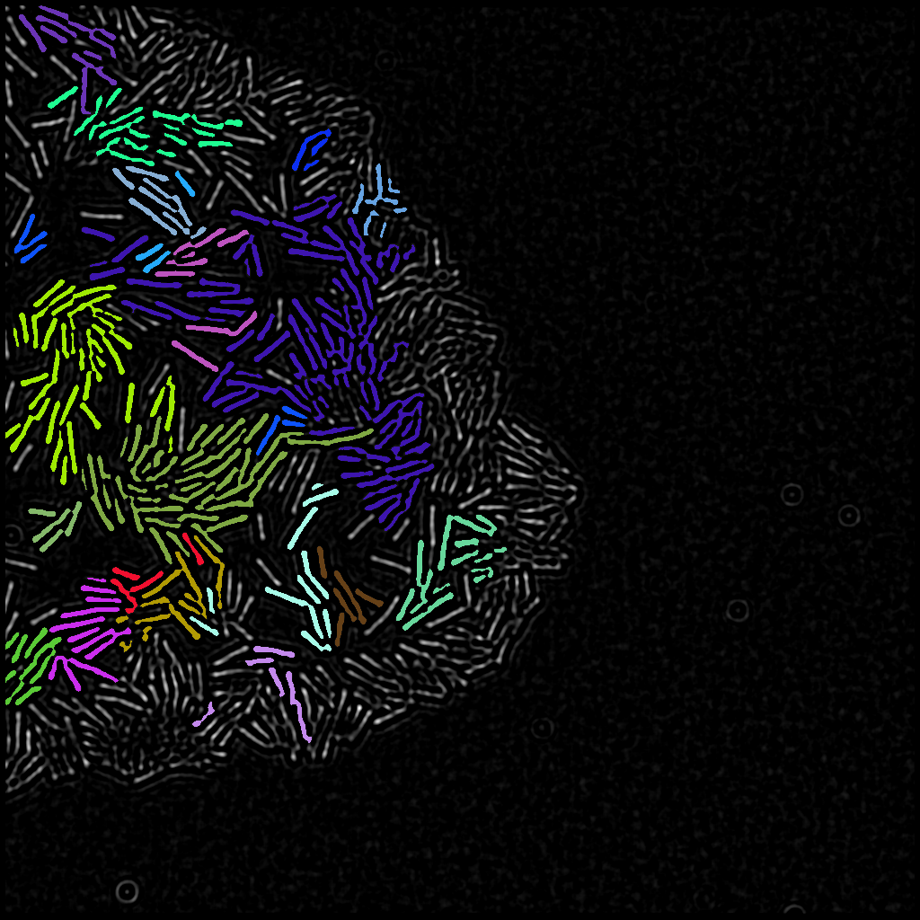 Learning the complete dynamical phase diagram of bacterial swarming