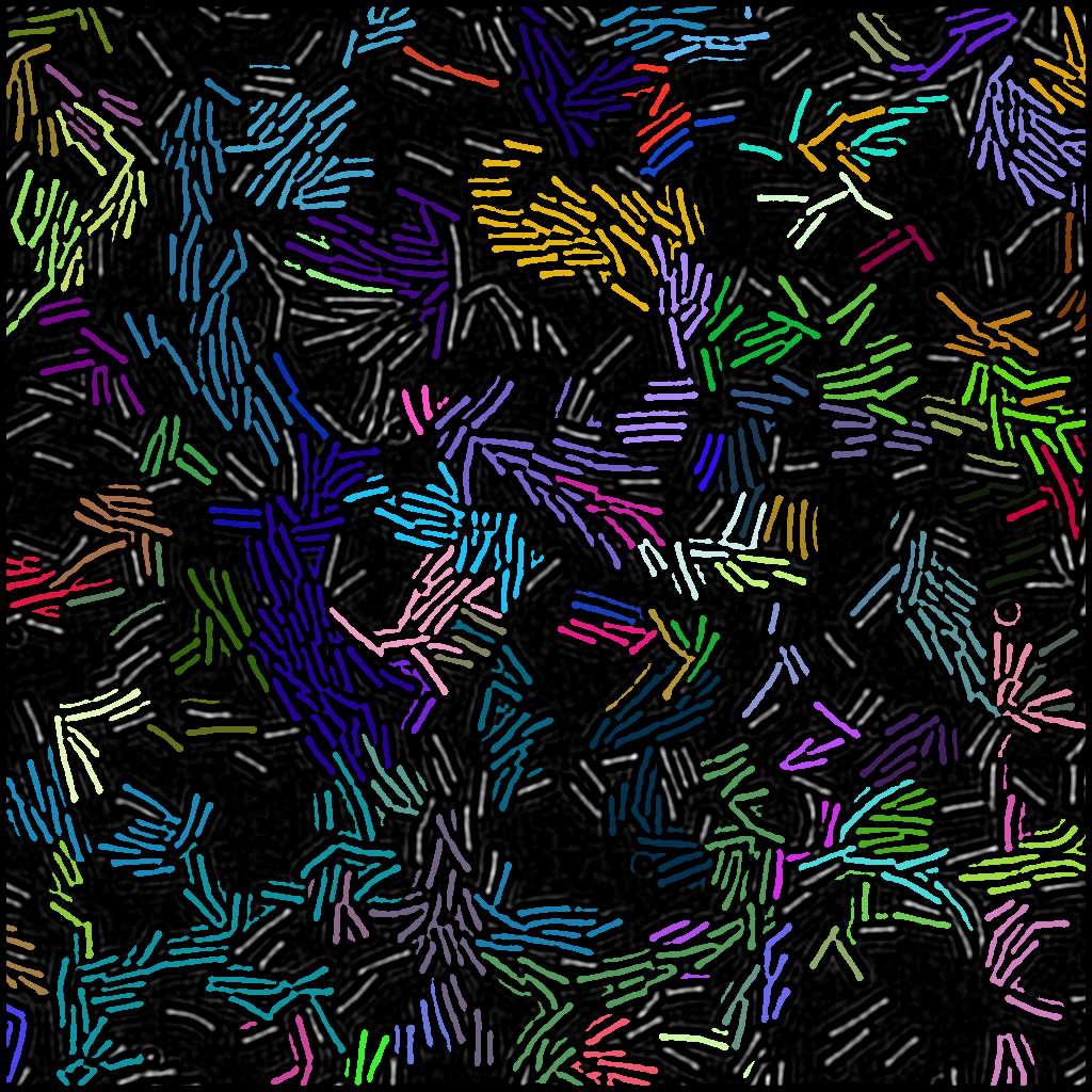 Learning the complete dynamical phase diagram of bacterial swarming