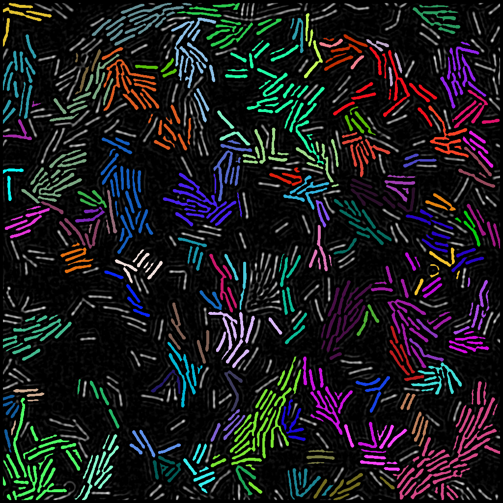 Learning the complete dynamical phase diagram of bacterial swarming