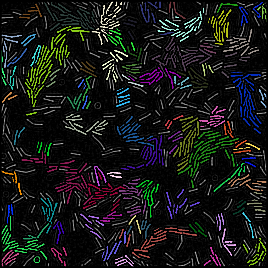 Learning the complete dynamical phase diagram of bacterial swarming