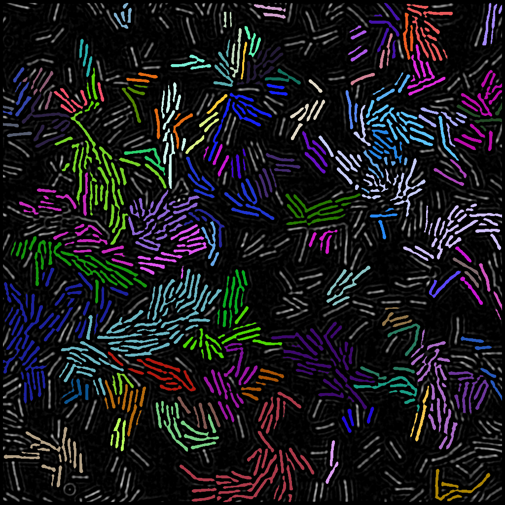 Learning the complete dynamical phase diagram of bacterial swarming