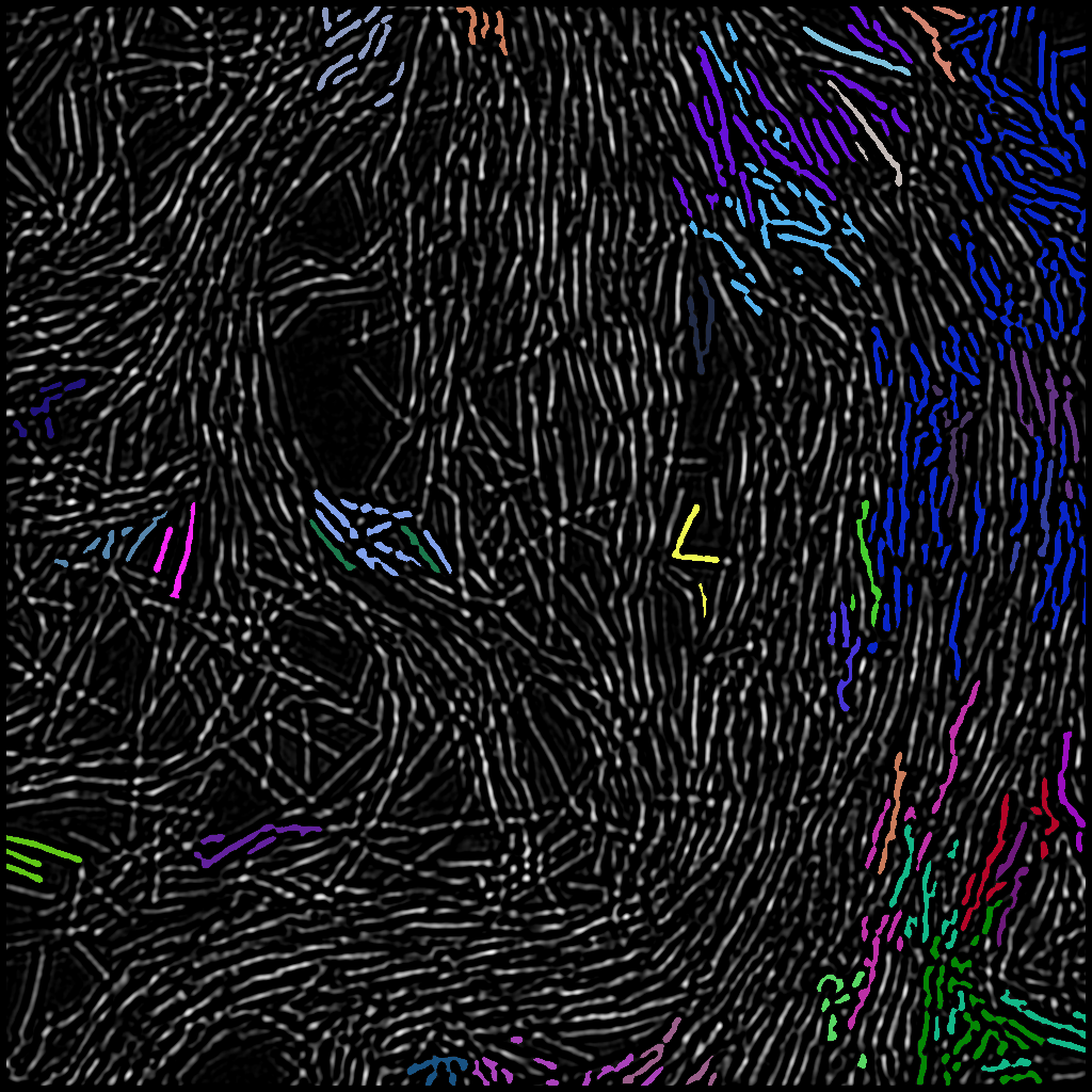 Learning the complete dynamical phase diagram of bacterial swarming
